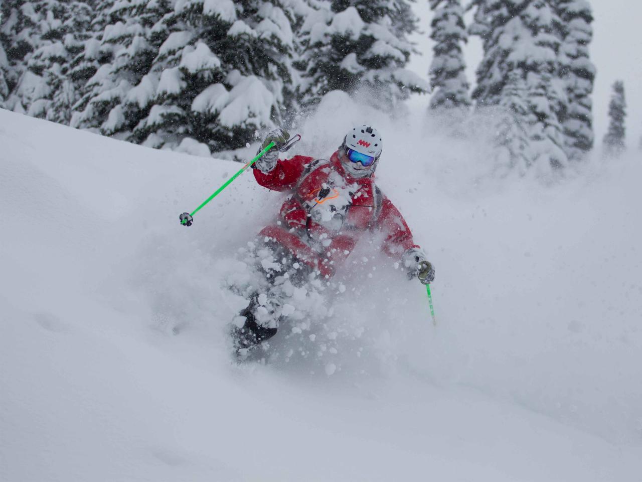A Guide’s Take on Fun & Safe Tree Skiing | Mike Wiegele Helicopter Skiing